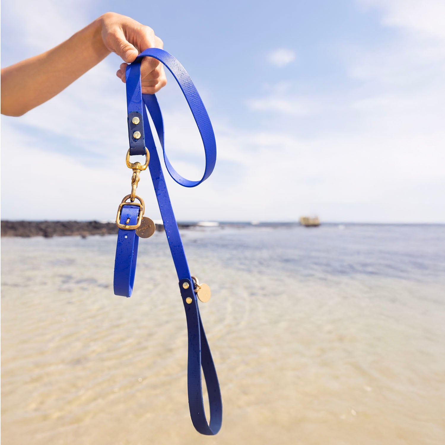 Waterproof Dog Leashes – Howler Collection
